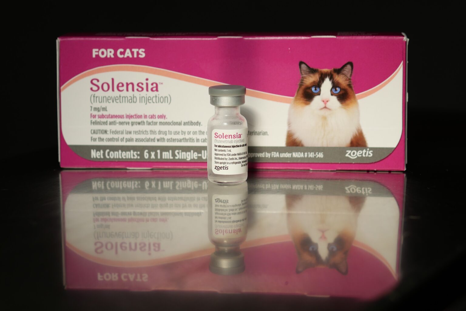 Solensia for Cats - Evesham Veterinary Clinic